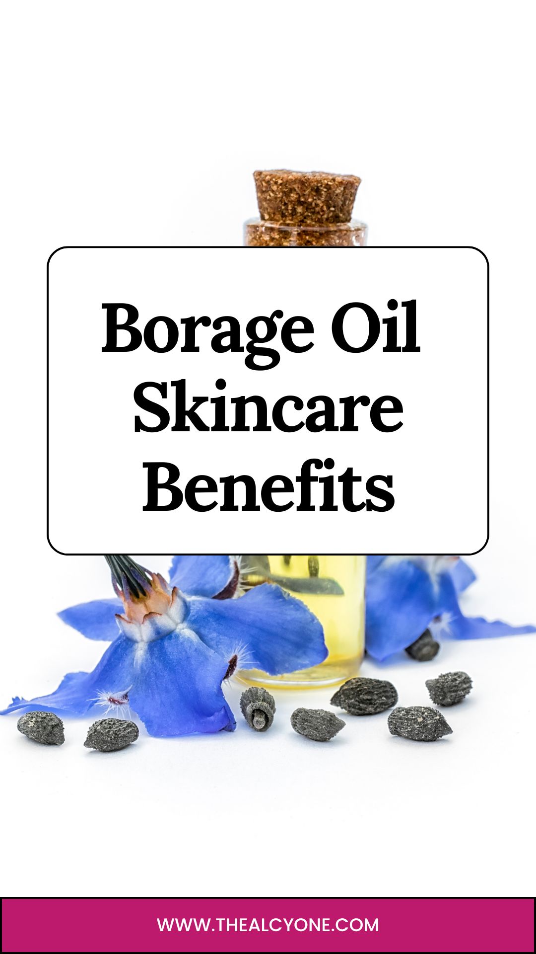 Borage Seed Oil Skin Benefits - Everything You Need To Know
